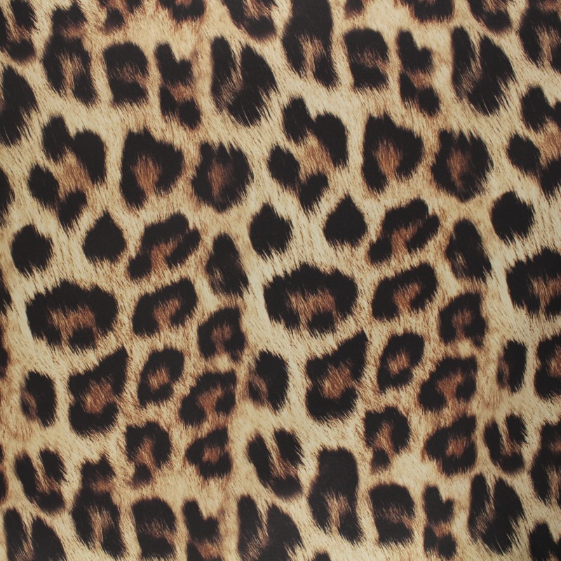 Tissu softshell Léopard - noir - Ma Petite Mercerie